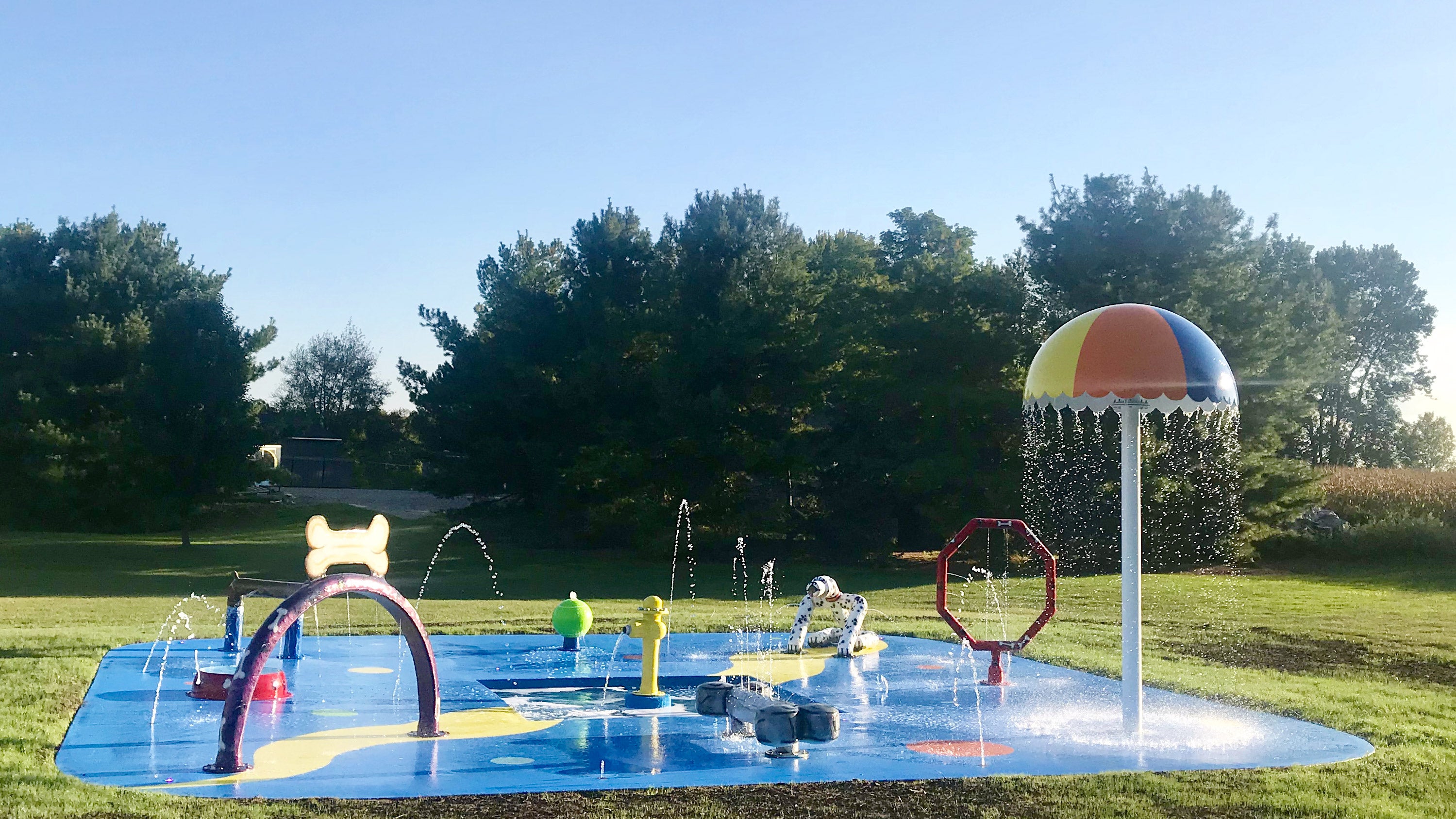 Dog Water Park Features – mysplashpaddogwaterpark.com