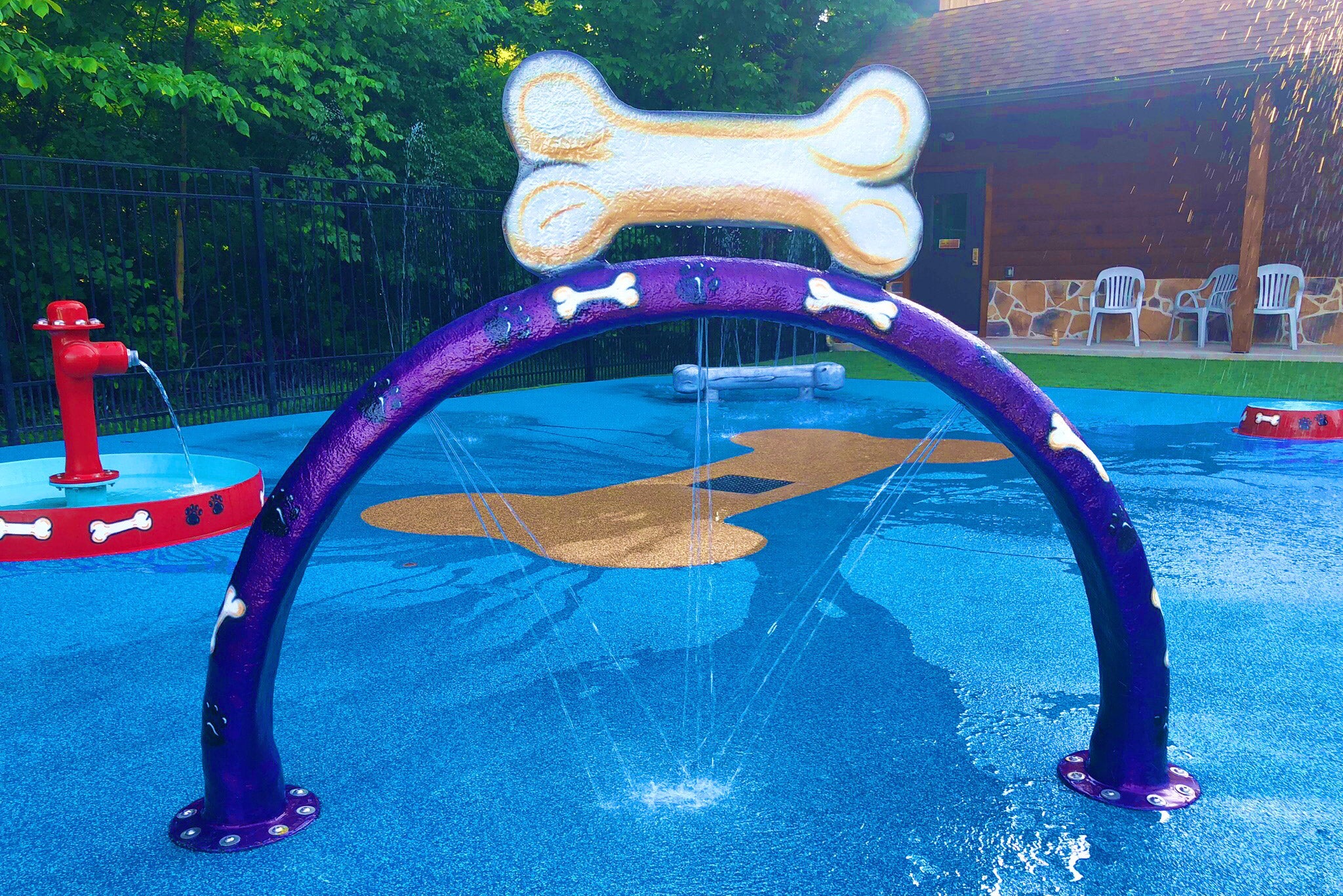 Dog Water Park Kits & Features by My Splash Pad ...