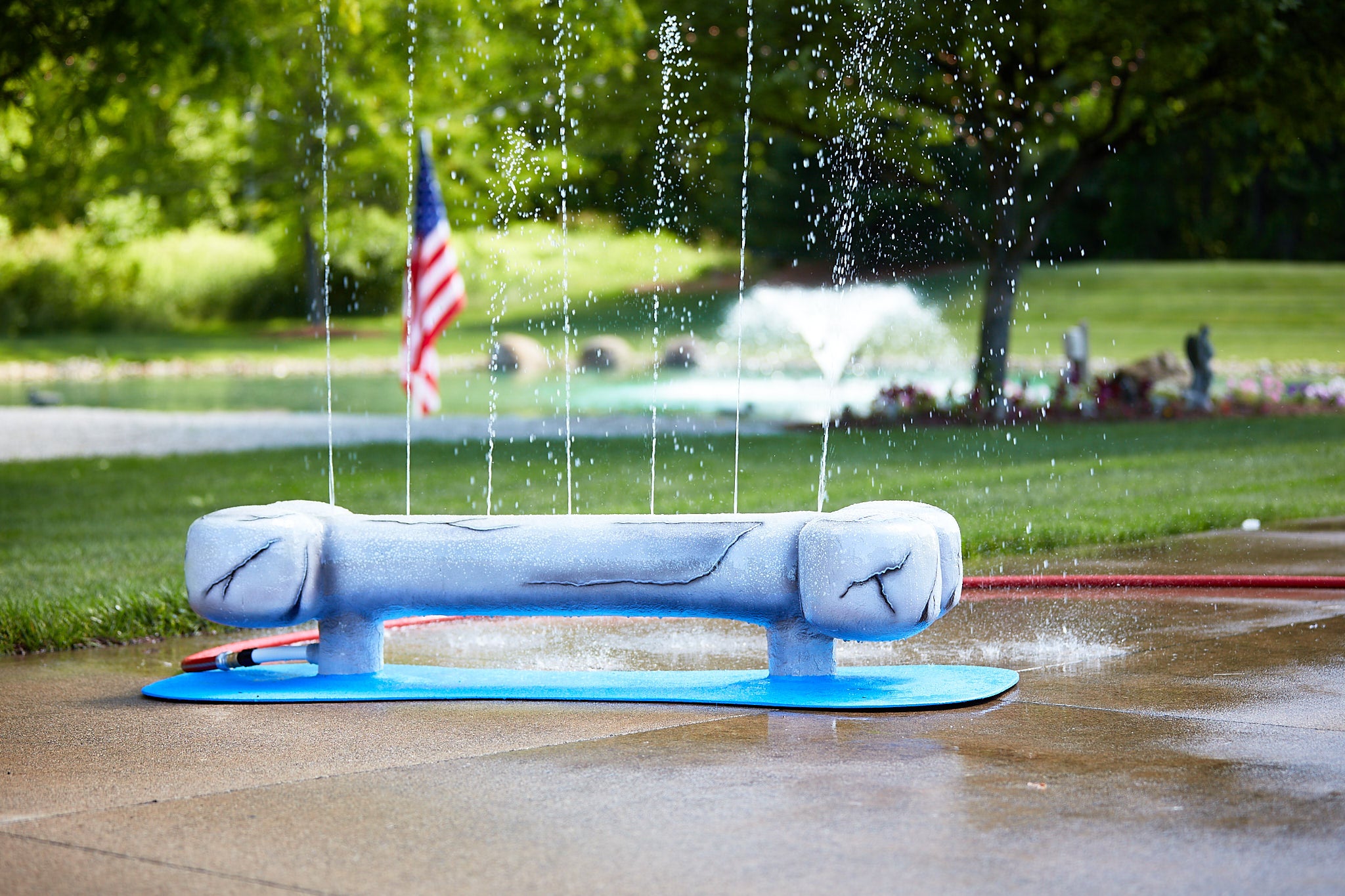 Dog Water Park Kits & Features by My Splash Pad ...