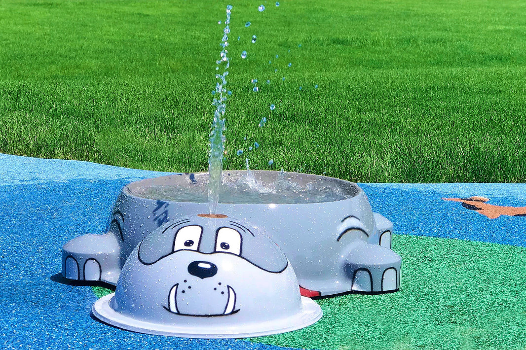 Dog Water Park Features – mysplashpaddogwaterpark.com