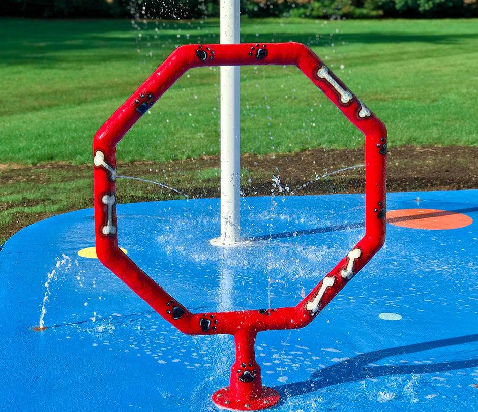 Dog Water Park Features – mysplashpaddogwaterpark.com