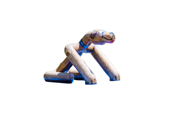 Dog Water Park Features – mysplashpaddogwaterpark.com