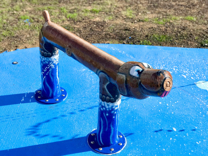 Dog Water Park Features – mysplashpaddogwaterpark.com